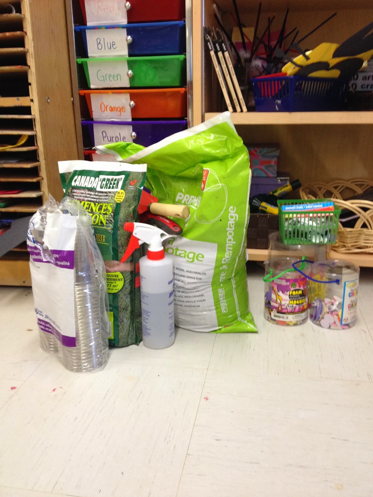 Sticks, Stones & Sparkly Pinecones ...Explore, Create & Learn : Growing ...