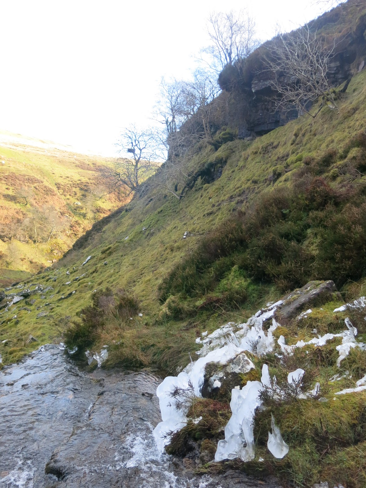 South Wales Bryophytes: Days in the Black Mountains - 2 Rhos Dirion ...