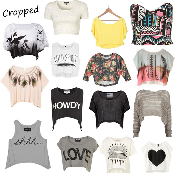 Paulo Nayron, Beleza e Lifestyle: Manual do Cropped