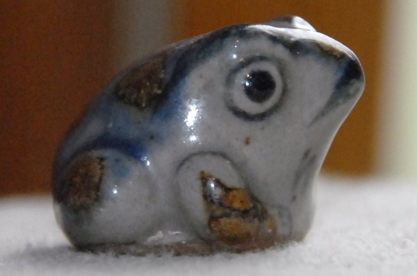 My Adventures On Windy Hill: The Fertility Frog, The Suicidal Cardinal ...