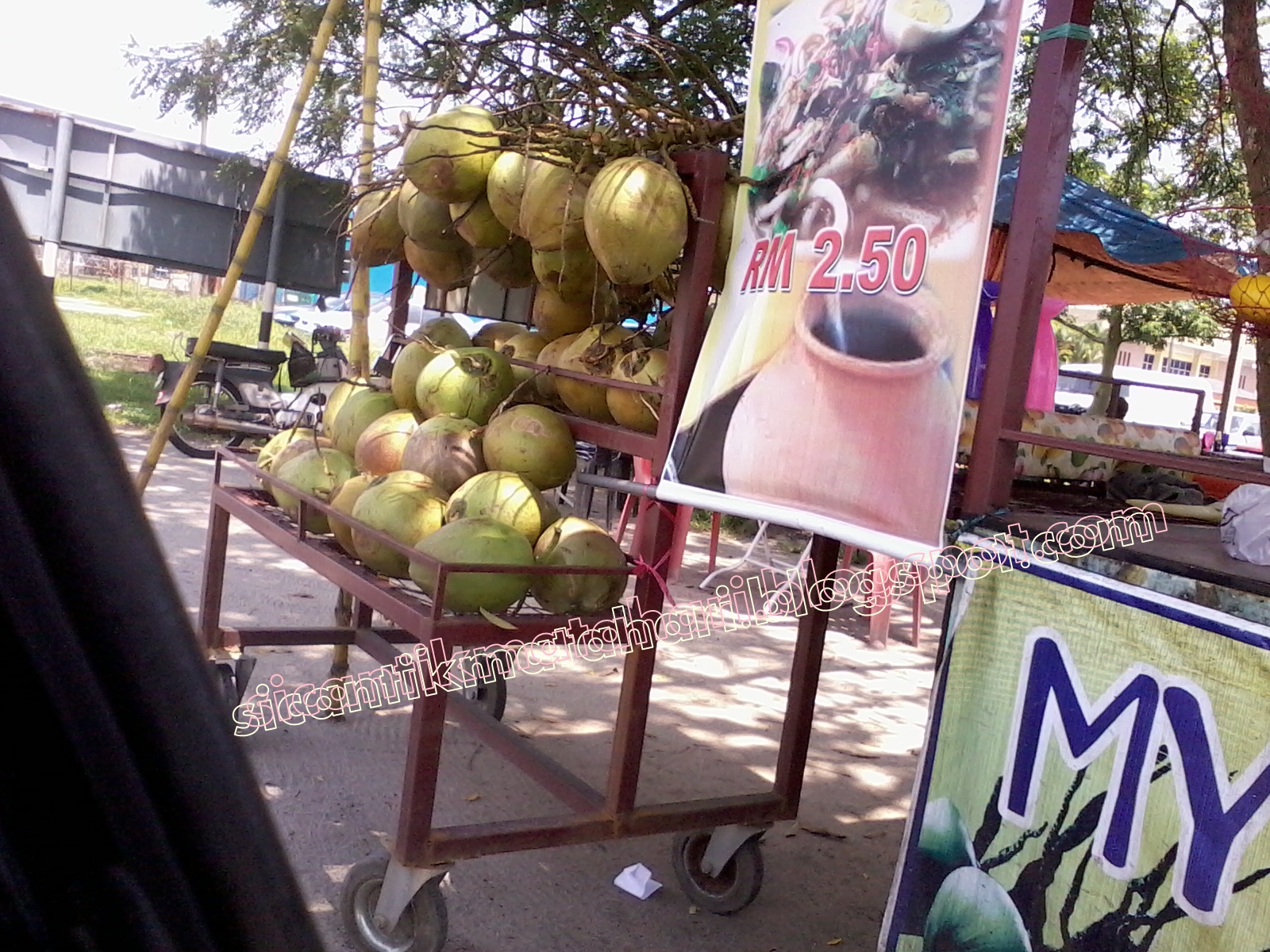 Si Cantik Matahari: Minum Air Kelapa Muda Semasa Mengandung Si Cantik Matahari: Minum Air Kelapa Muda Semasa Mengandung