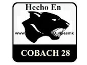 Panteras Cobach 28