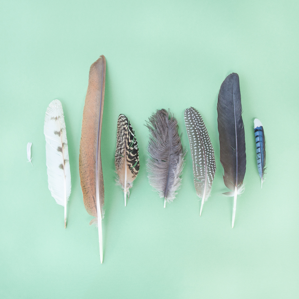 Good design makes me happy: Emily Blincoe