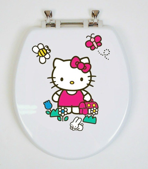 More Hello Kitty Litter [ Being Ron ]