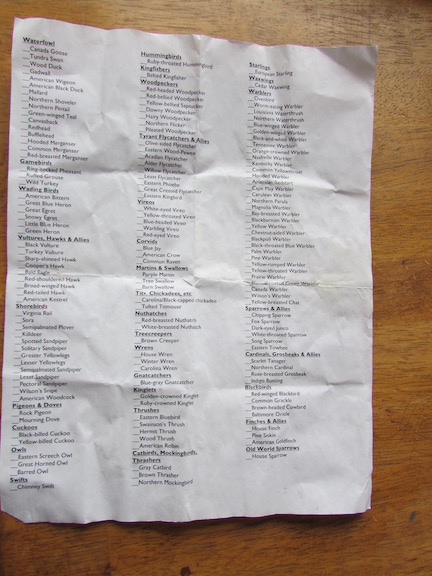 Georgia Anne Butler's Blog