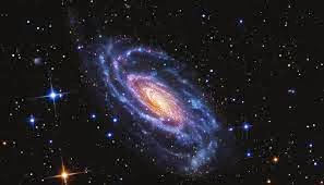 Seed to Feed Me: WHAT IS A LIGHT YEAR?