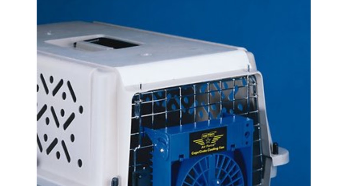 TheMillennialFarmBlog: 20 Products Under $20 To Keep Pets Cool in Hot ...