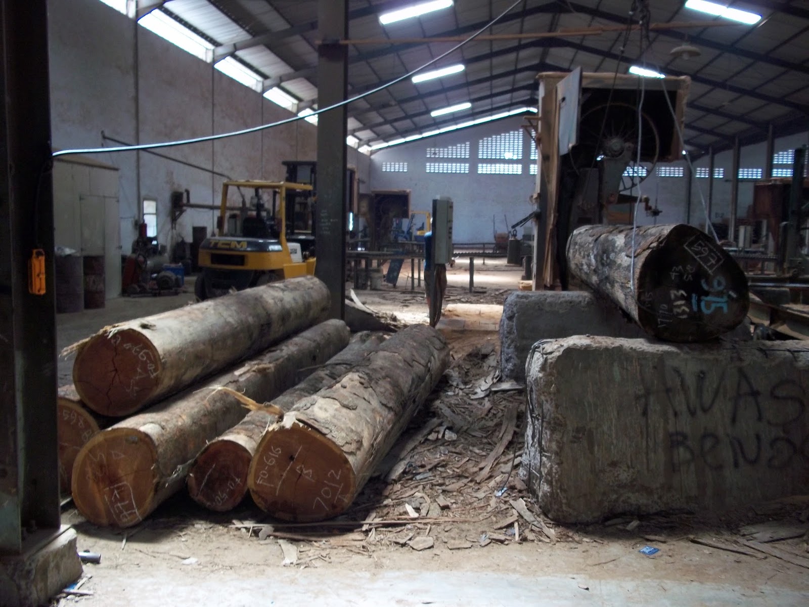 Progress Of Timber Industries in Central Java, Indonesia | Likesmedia