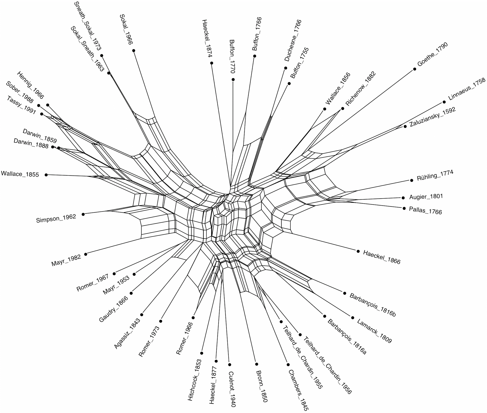 The Genealogical World Of Phylogenetic Networks The Tree Of Trees Is A Network
