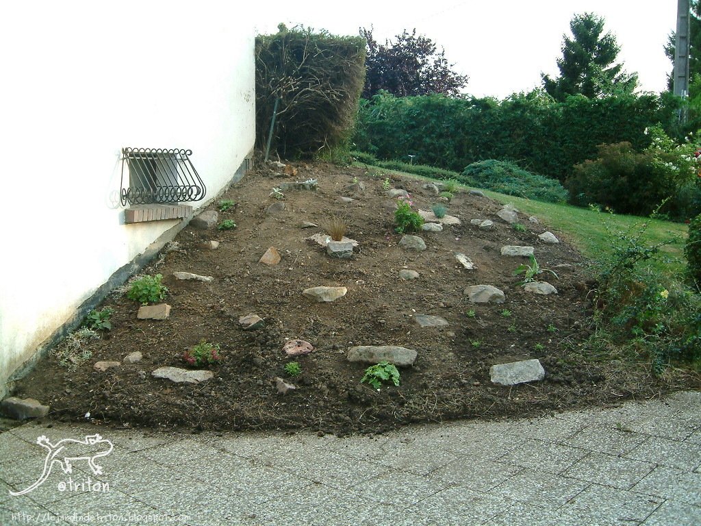 Le jardin de Triton: Rocaille ... ou comment rendre un massif dynamique ...