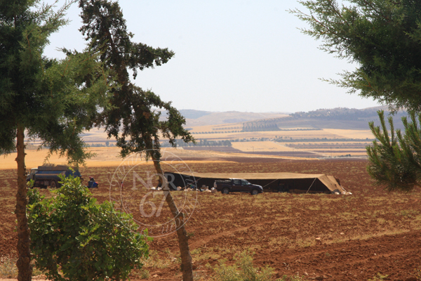 3 gambar teratas ni adalah penempatan kaum Badwi yg hanya tinggal di ...