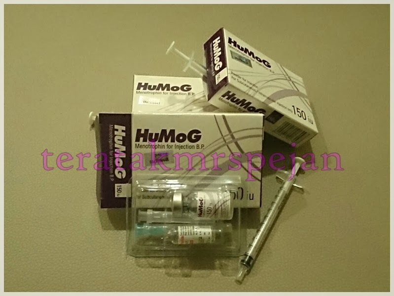 Dunia Mrs. Pejan's: Pengalaman Mendapatkan Rawatan Kehamilan/Kesuburan ...