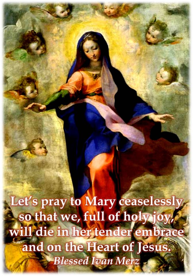 The Way to Jesus Christ: WHY THE IMMACULATE CONCEPTION? (A Reflection ...