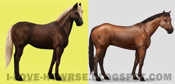 Pierwszy polski blog o howrse: Nowy wygląd koni na Howrse!