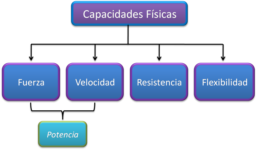 BLOG DE EDUCACIÓN FÍSICA por Jesús Madrid Boyero: LAS CAPACIDADES Y LOS ...