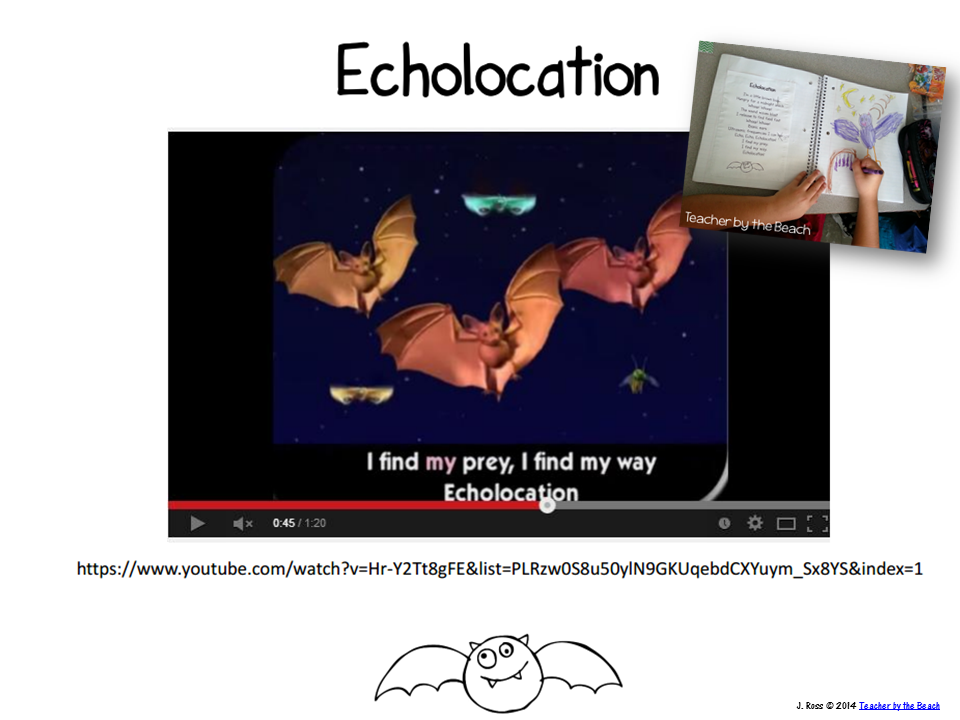 Bat Week: Reading, Writing, and Poetry - freebies included! | The ...