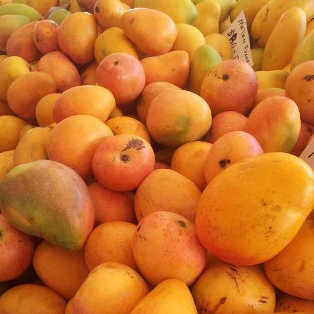 Concluye “Expo Mango 2016” - VILLA MELLA NEWS