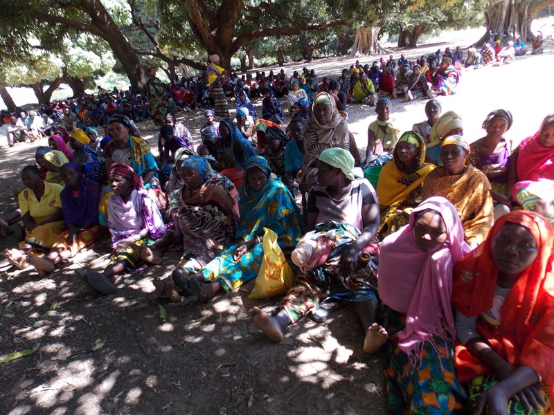 MATUKIO @ MICHUZI BLOG: WANYAMA WAHARIBIFU AINA YA NGEDERE WAHARIBU ...