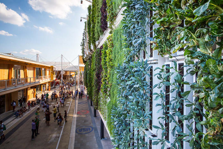 These Vertical Farms Turn Unused City Wall Space Into Gardens That Grow ...
