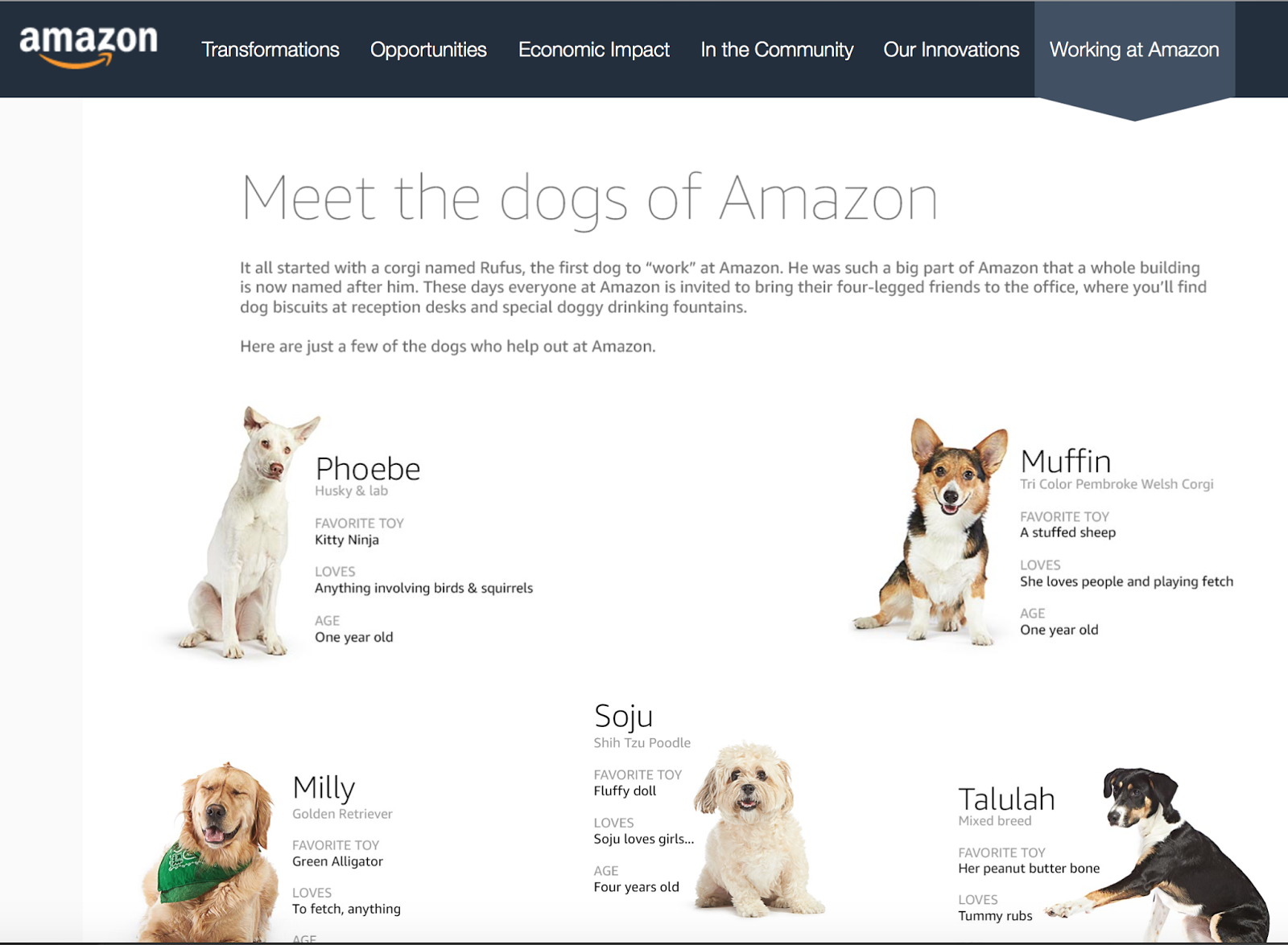 Information Warfare - Perception Management: The Dogs of Amazon