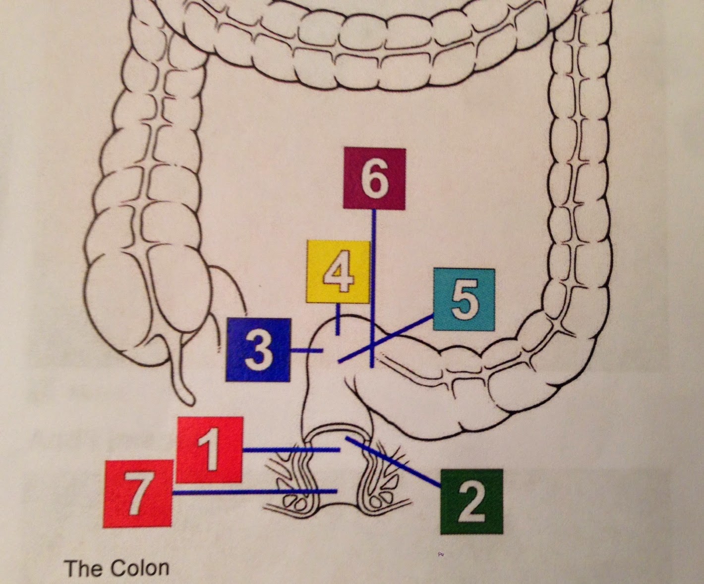 Seven Vessels: God writes straight with crooked lines, Part 1.