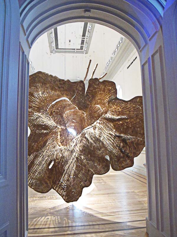 Jennifer Coyne Qudeen: WONDER - John Grade