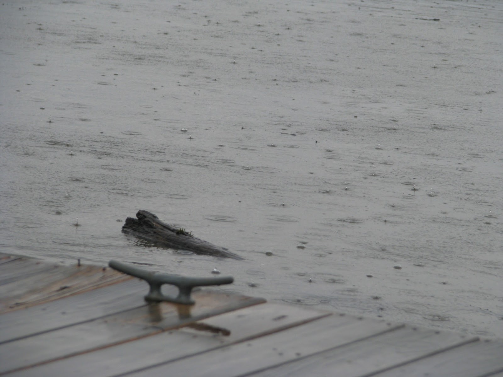 Ms Bettencourt's Next Voyage: "How high's the water, Mama?