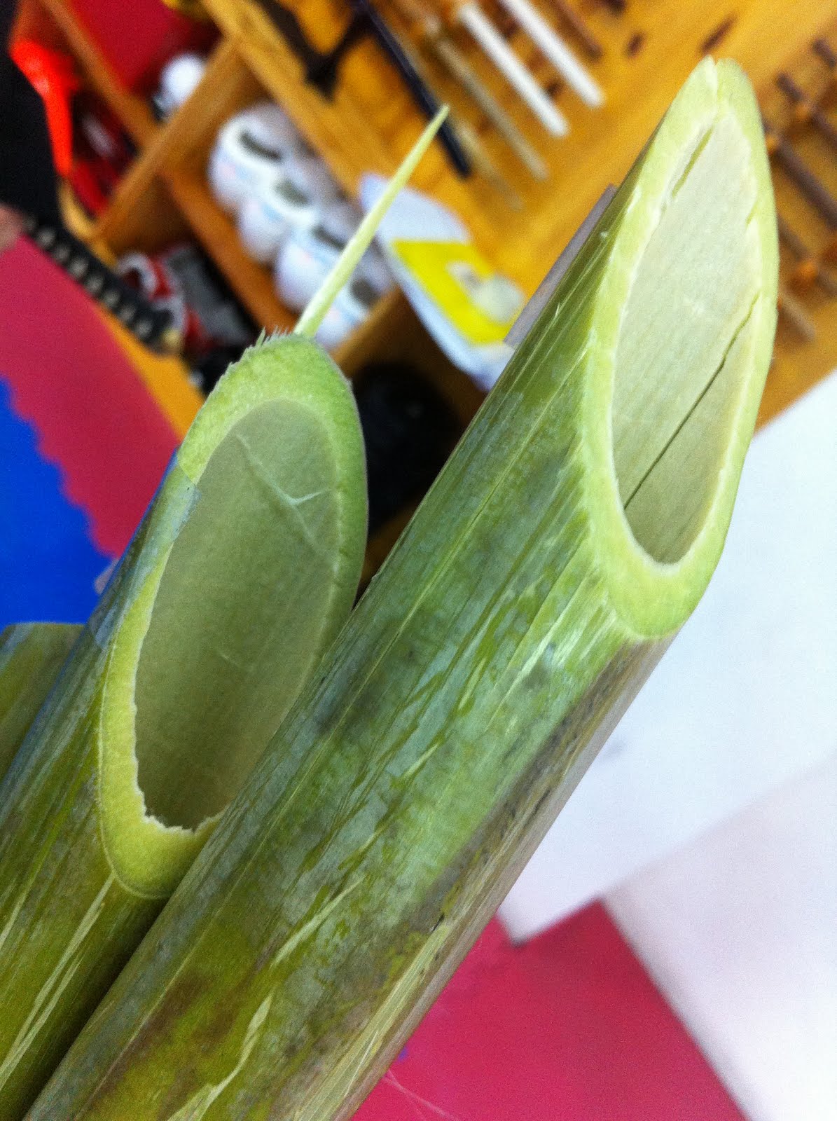 KUMDO: Galeria / Gallery