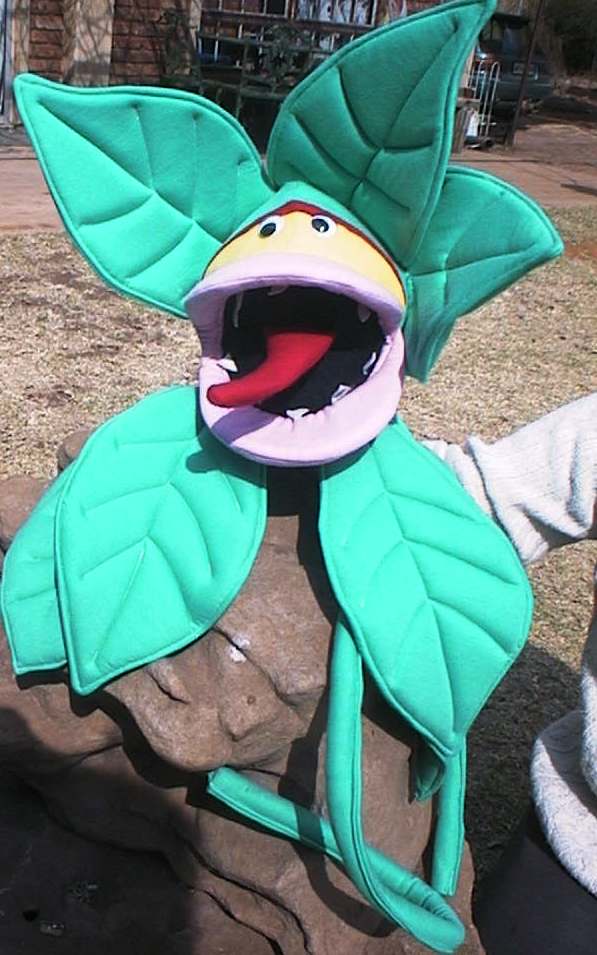 DIE BYBELBOEKWURM (vir Kinderkerke): ESMé WALKER: KUNSTENAAR