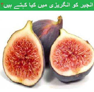 anjir انجير meaning in english ~ Watch And Learn