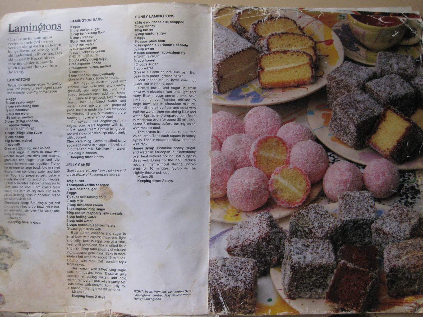 Julie Delves, Art and Life: ..on Lamingtons and a cake book