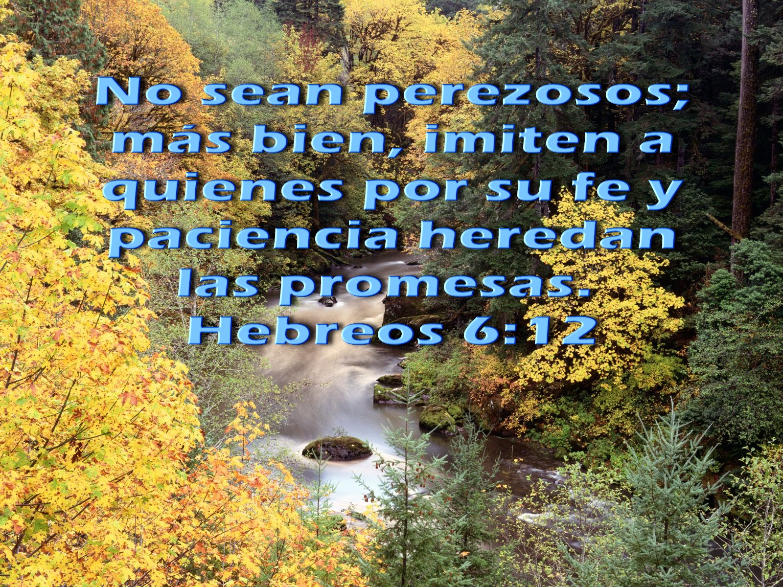 Biblia, paisajes y maravillas: Hebreos 6:12