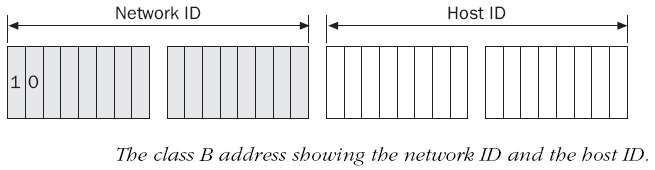 Internet Protocol (Structure, IPv4 , IPv6) - CCNA tutorials