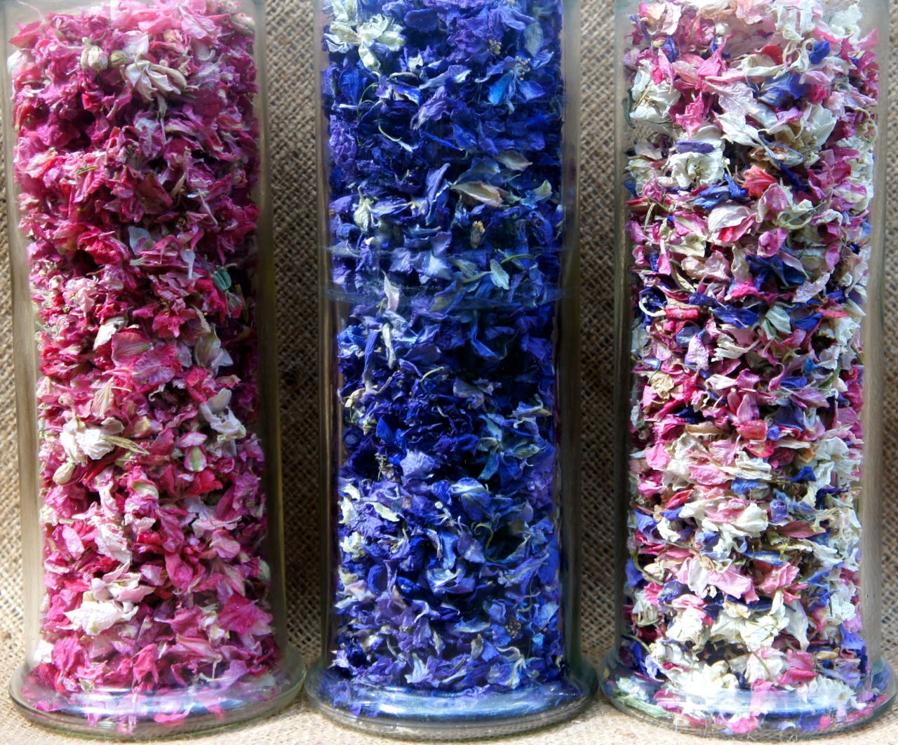 Foragefor... news: Drying Tonight!