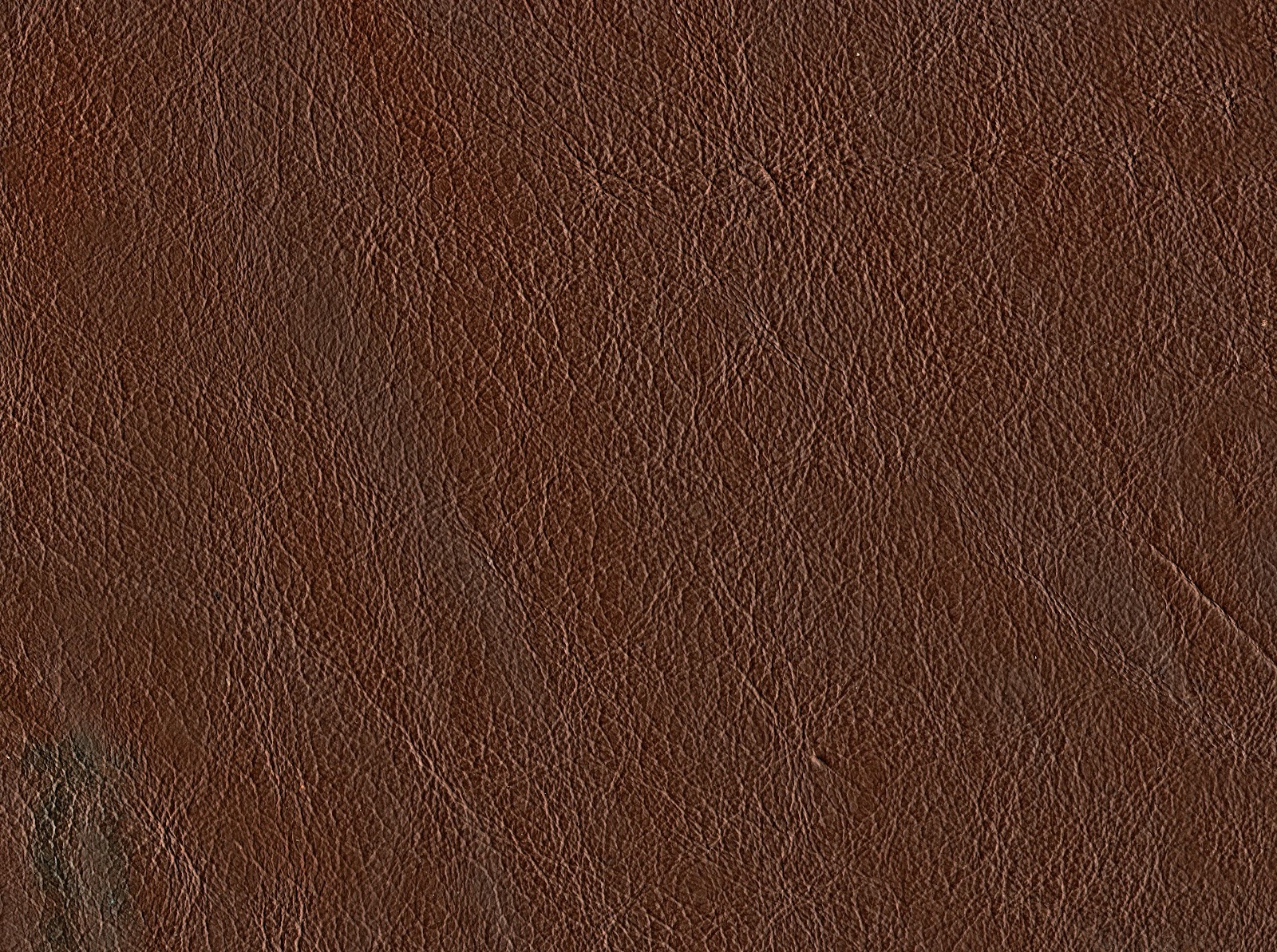 Thư viện 3D: [Mapping] LEATHER TEXTURES