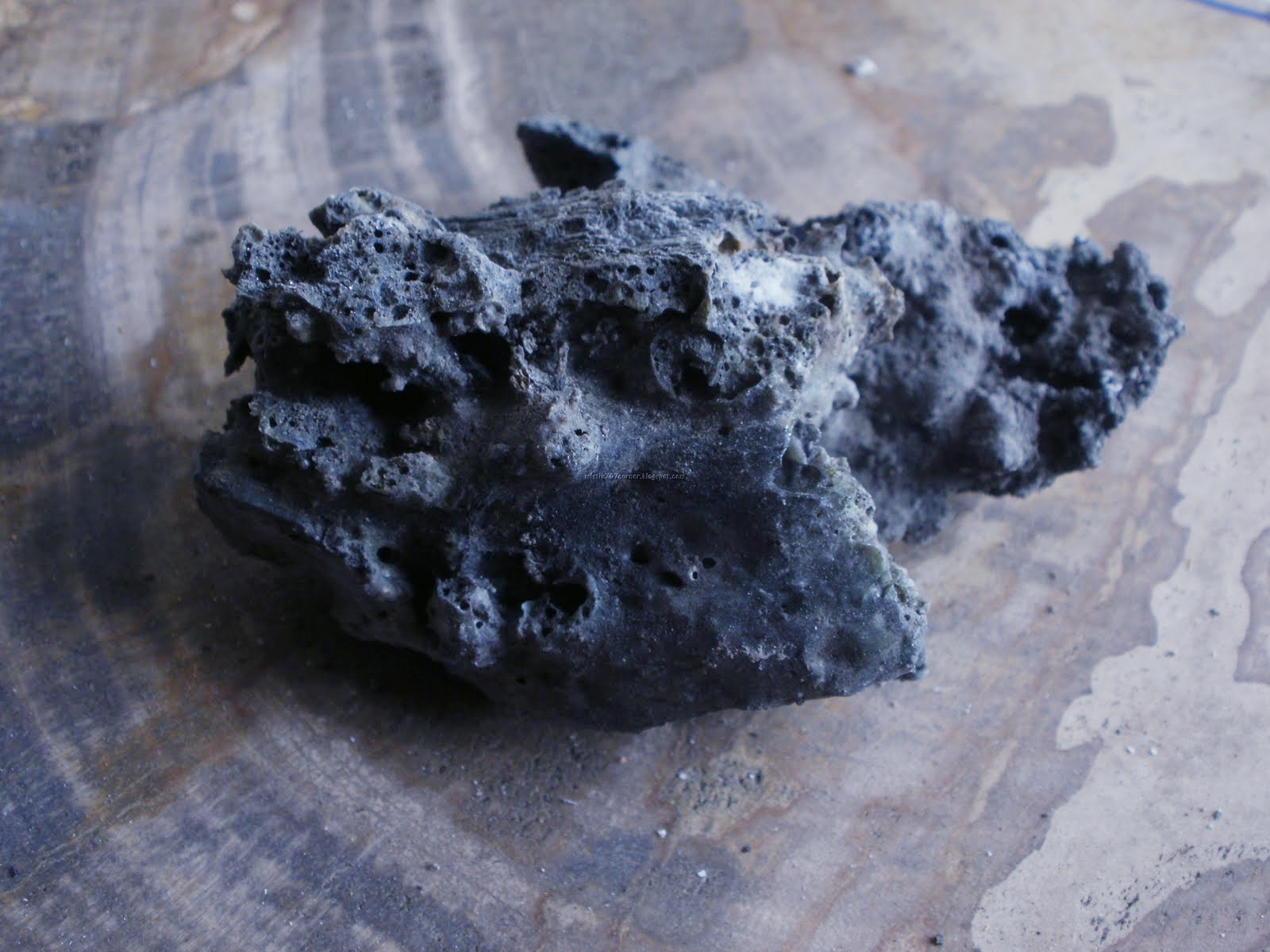 alamcyber 2020: APA ITU PELESIT