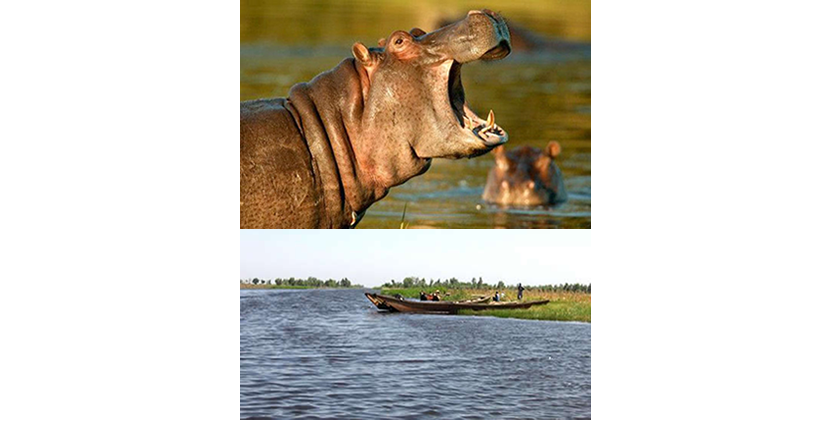 royaltyculture: BORNO STATE; Its People and Culture