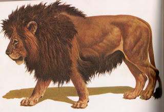 Arca dos Extintos: Leão do Atlas