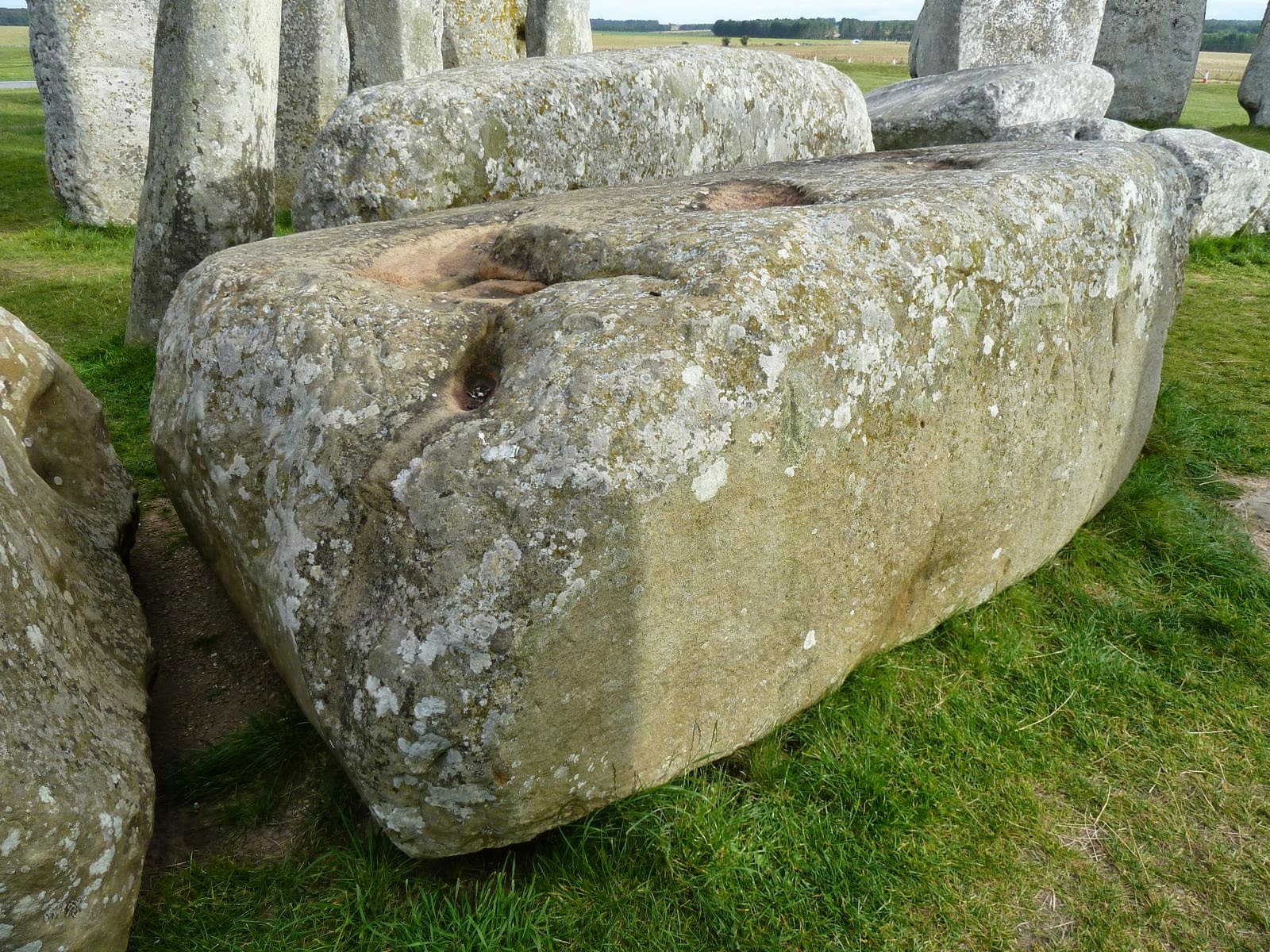 The Stones of Stonehenge: Stone 55