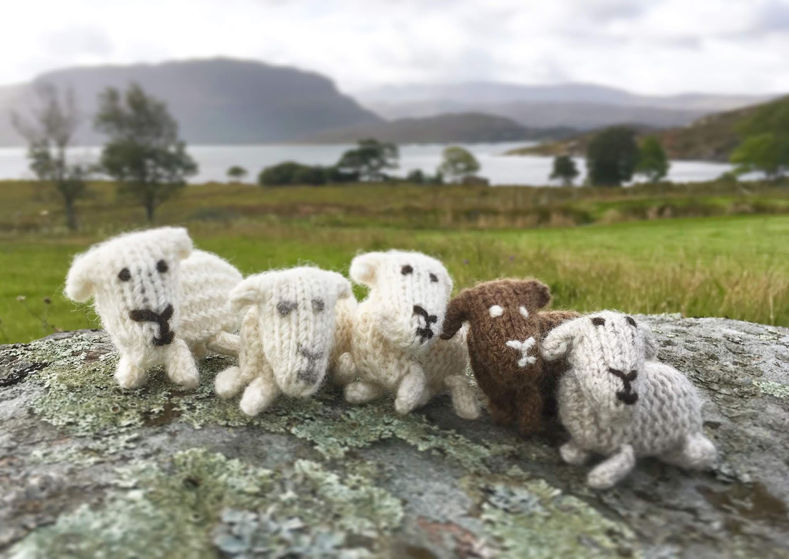 Hand Knitted Things: 2018