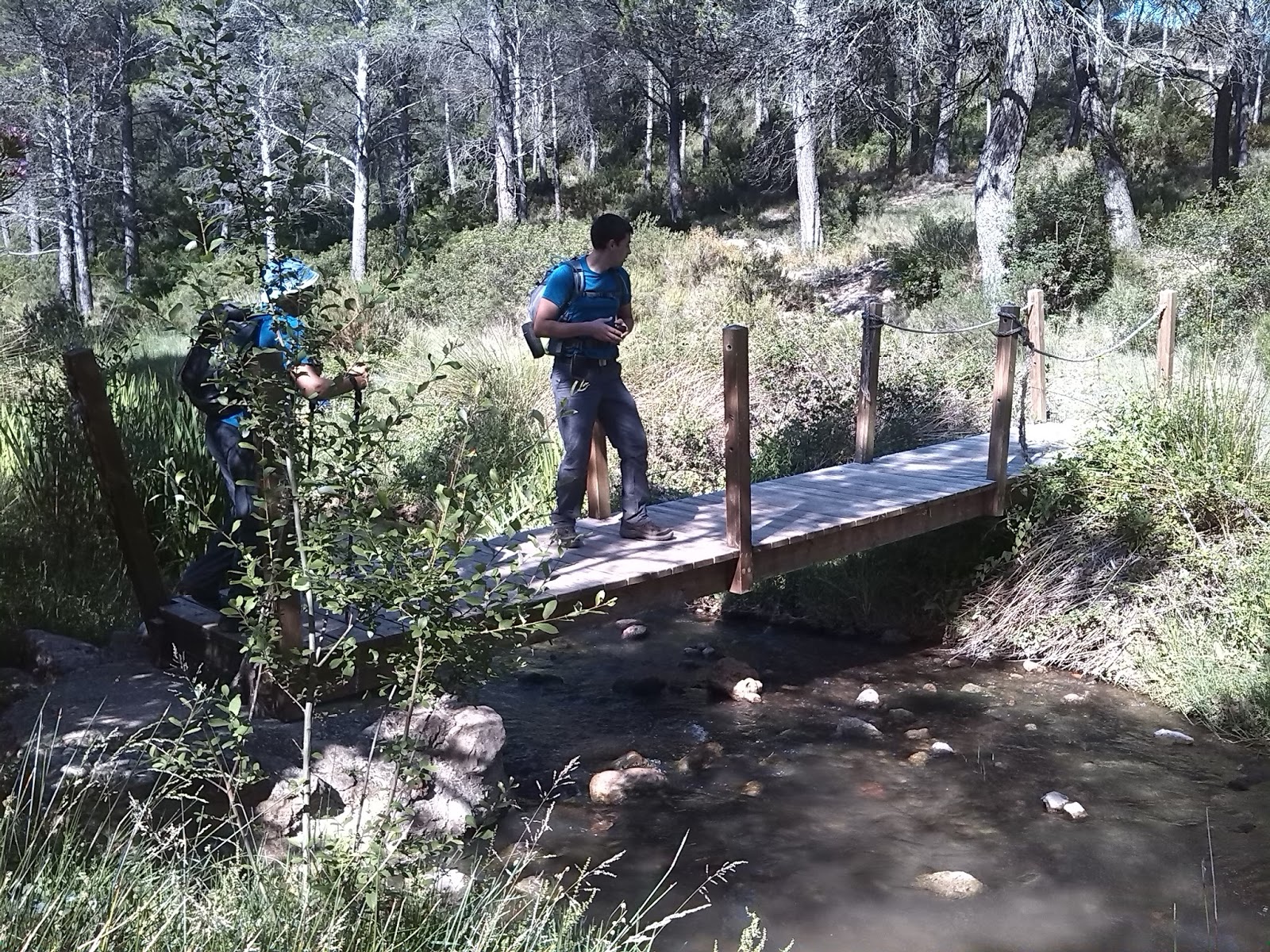 PEPELIKTRENCACAMES: Yátova - Ruta fluvial por el río Magro