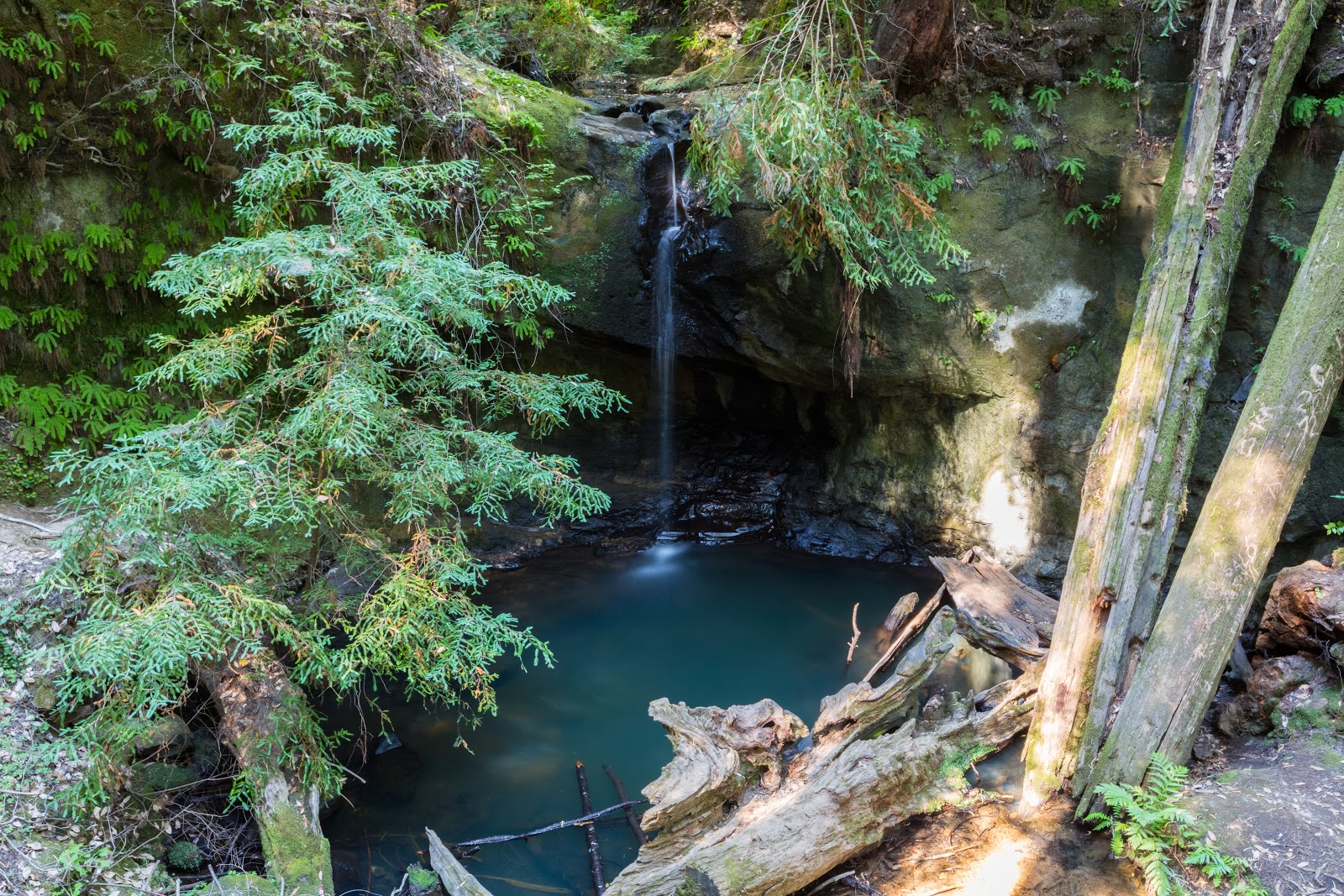 Naturetastic Blog: Big Basin State Park, CA