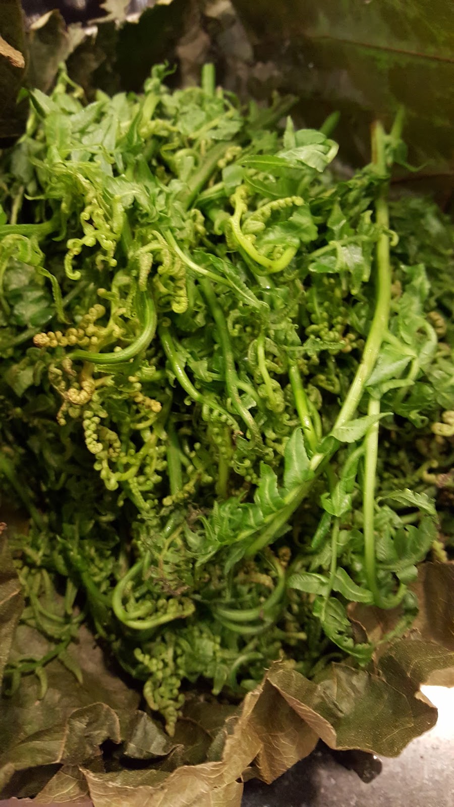 Rushina Munshaw Ghildiyal: Lingde, Khutde, Dhekia xaak, Neuro or ...