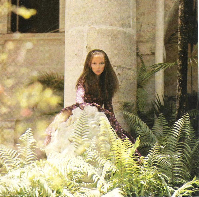 little augury: A Tree House in Vogue