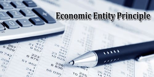 Economic Entity - Project Management | Small Business Guide