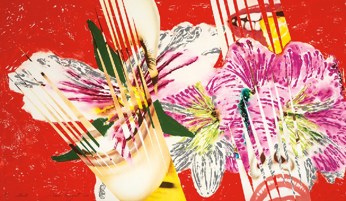 Exposition Art Blog: James Rosenquist - POp ARt