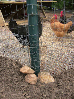 Apple Falls: Fox-Proof Fence