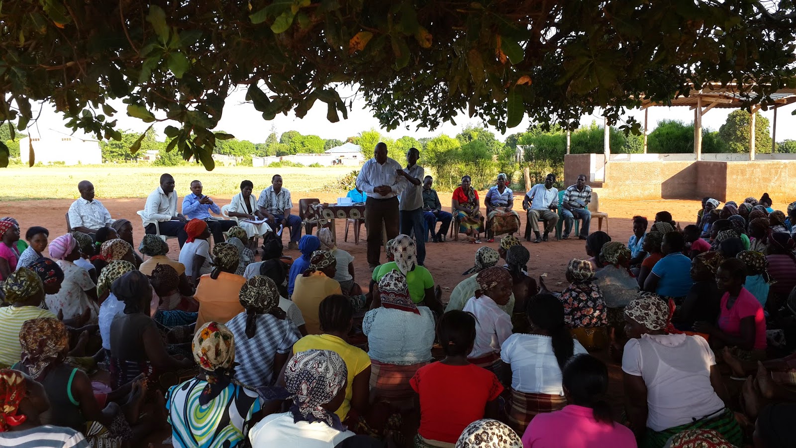 Conselho Municipal da Cidade de Chibuto