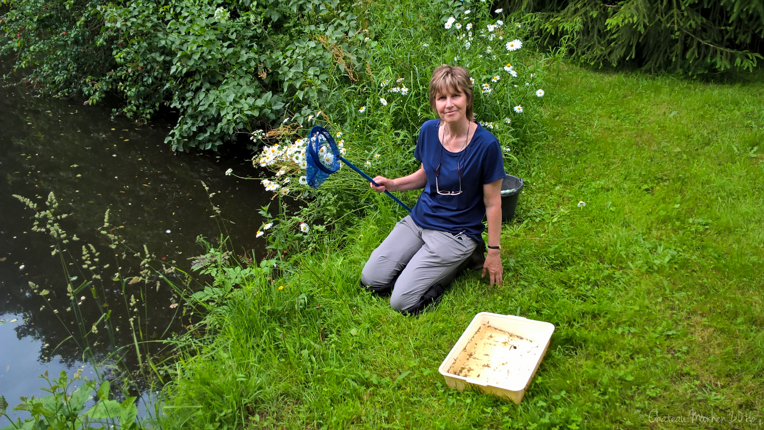 Chateau Moorhen..... goes south!: First time pond dipping