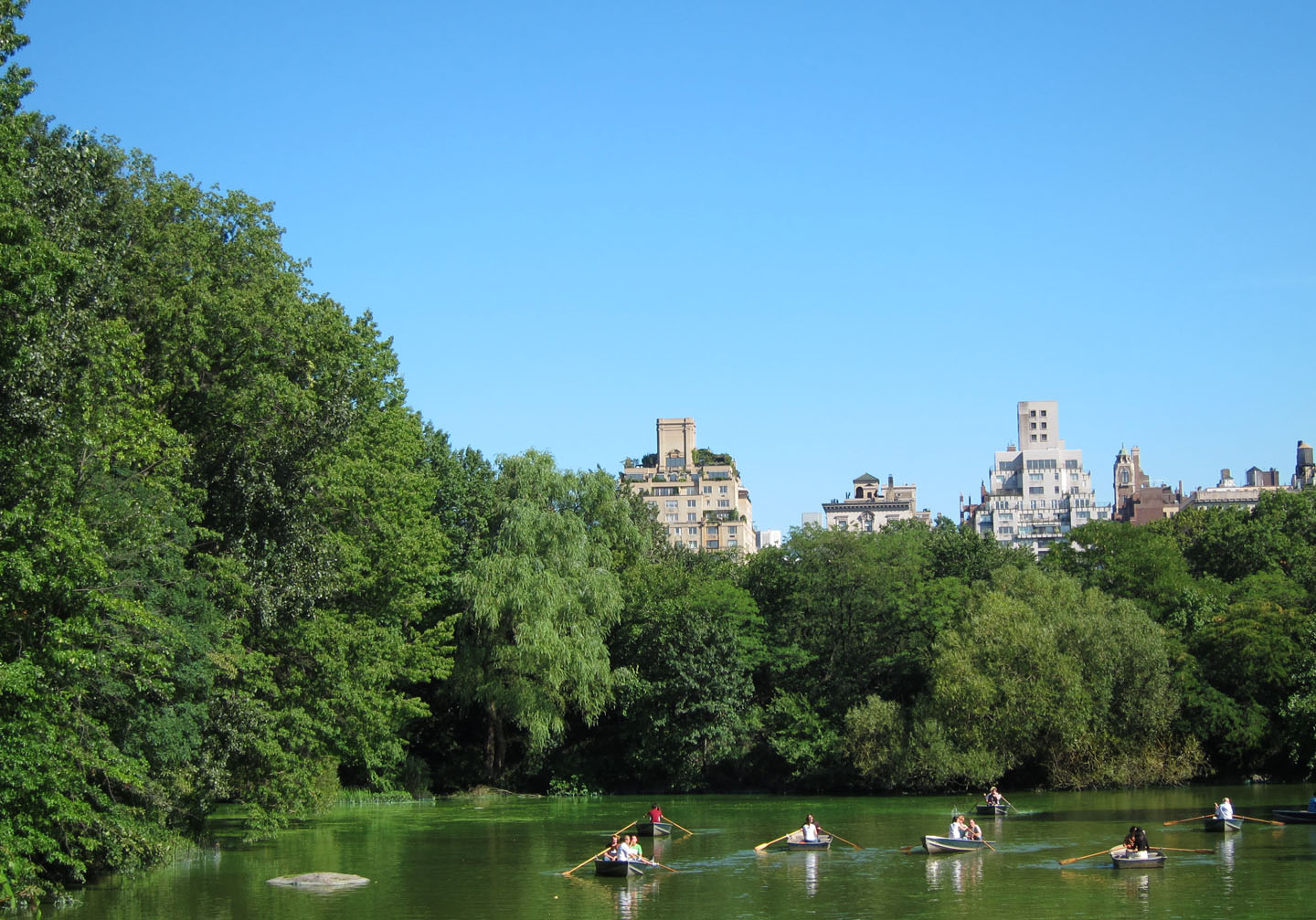 66 Square Feet (Plus): A Walk in Central Park